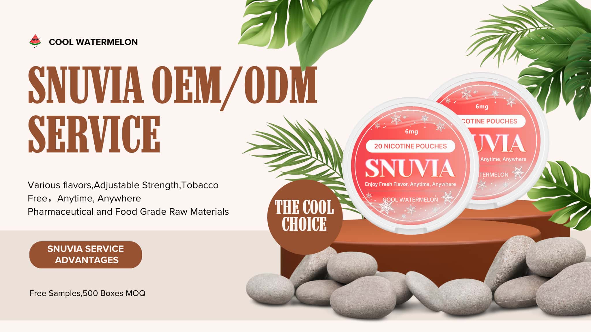 Snus vs Nicotine Pouches: Key Differences Explained